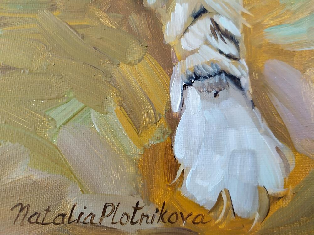 "Sharp Claw the Cat" by Natalia Plotnikova