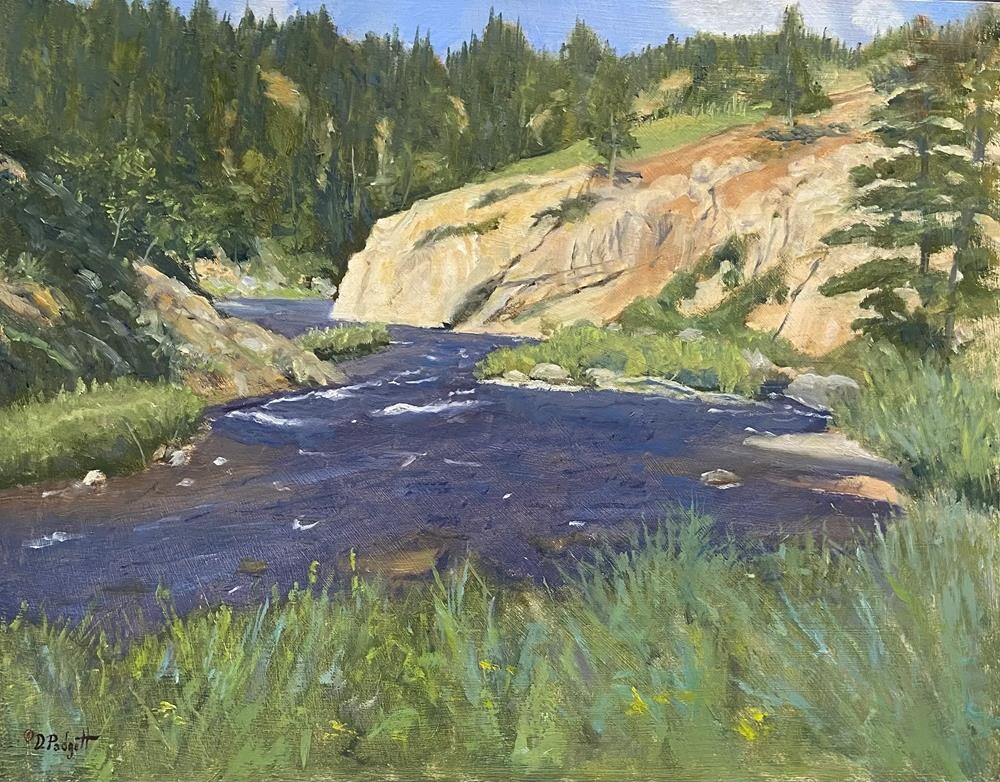 "SOUTH PLATTE near DECKER,CO." by David Padgett