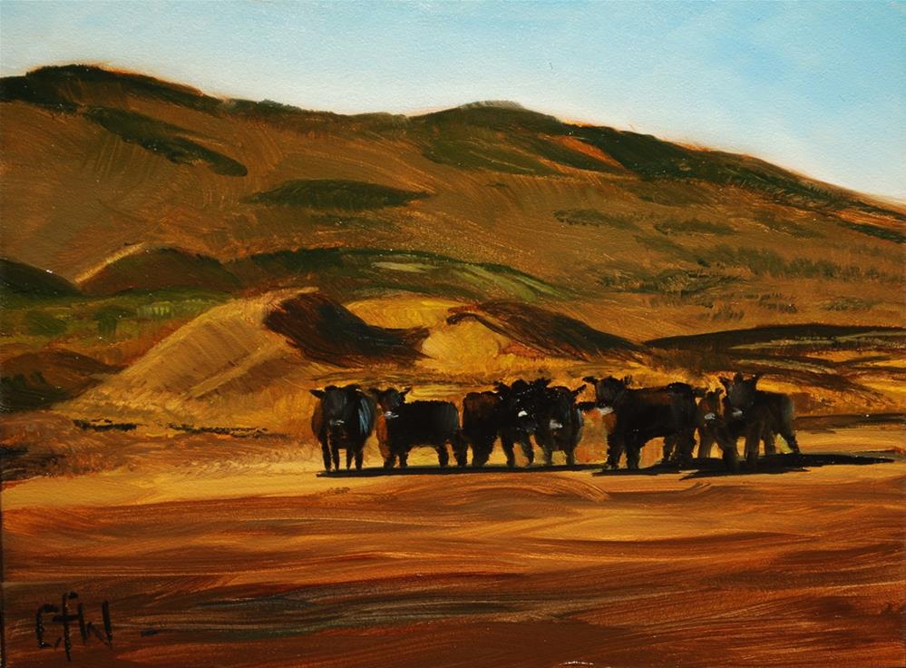 "Cow Henge" by Gary Westlake