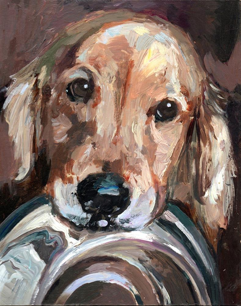"My Bowl ( Golden Retriever )" by adam deda