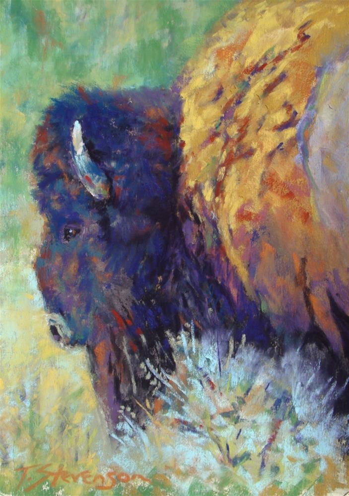 "Bison Afternoon" by Trish Stevenson