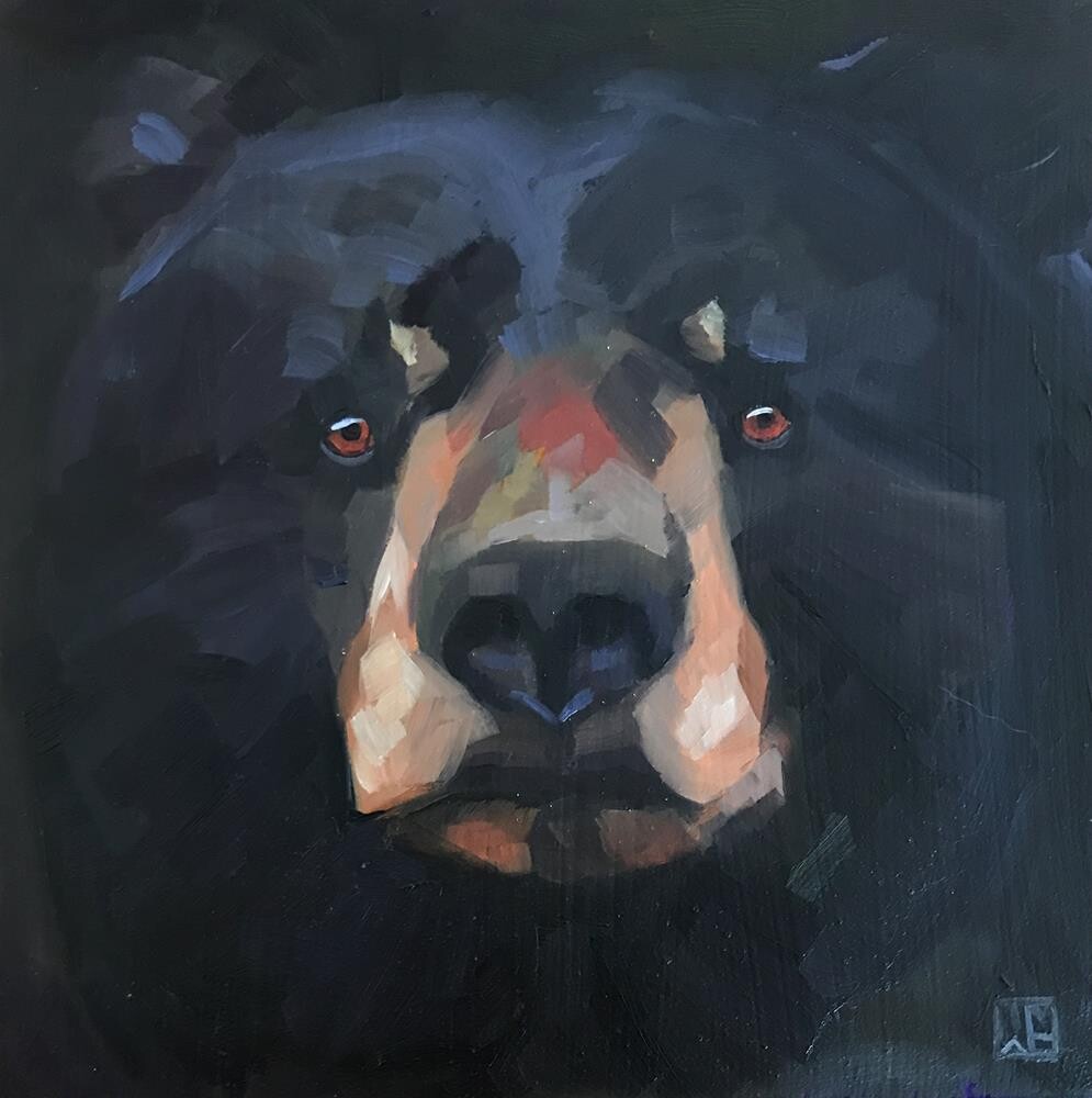 "Bear Stare" by Tracy Hurley