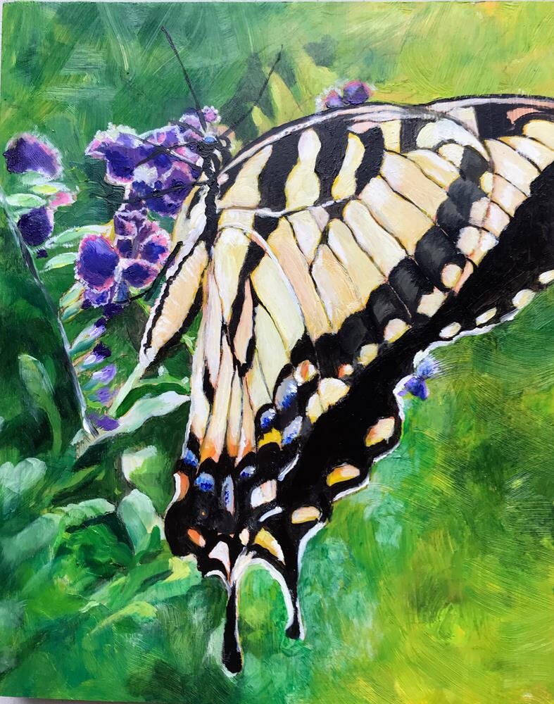 "Swallowtail Up Close" by Eileen Petre