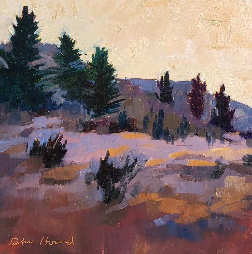 "Hillside with Golden Sky" by Debra Howard