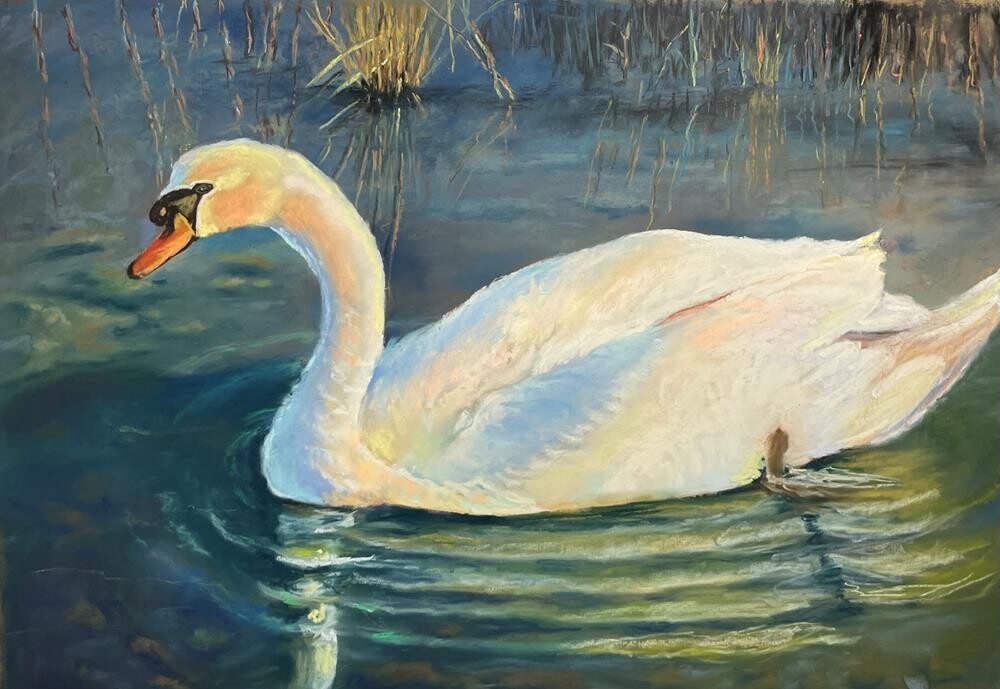 "Reflecting Grace - Swan " by Debra Newton