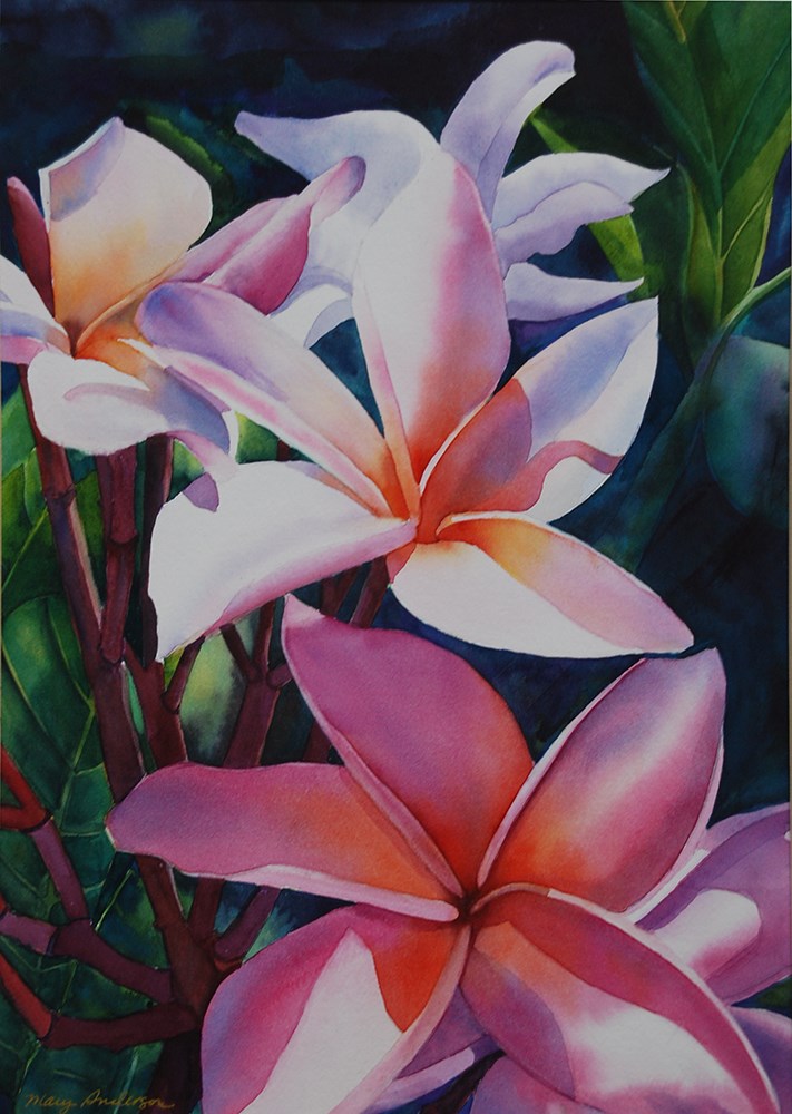 "Pink Plumeria" by Mary Anderson