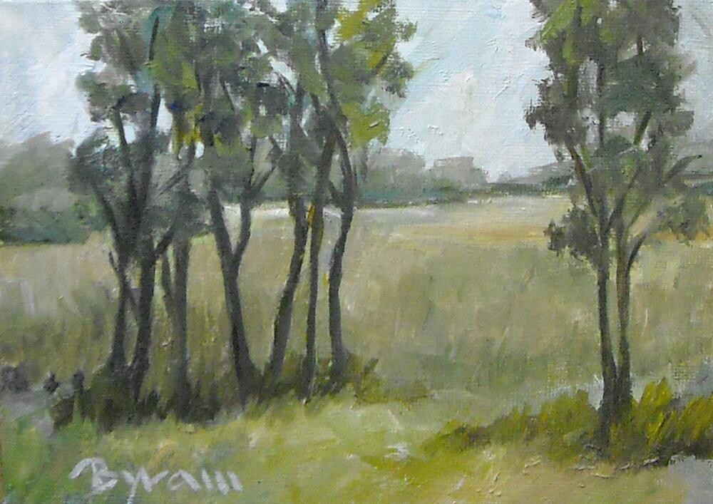 "Saplings" by Maggie Byram