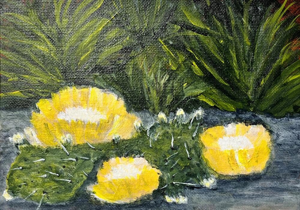 "Cactus in Caprock" by Sandra Tarno