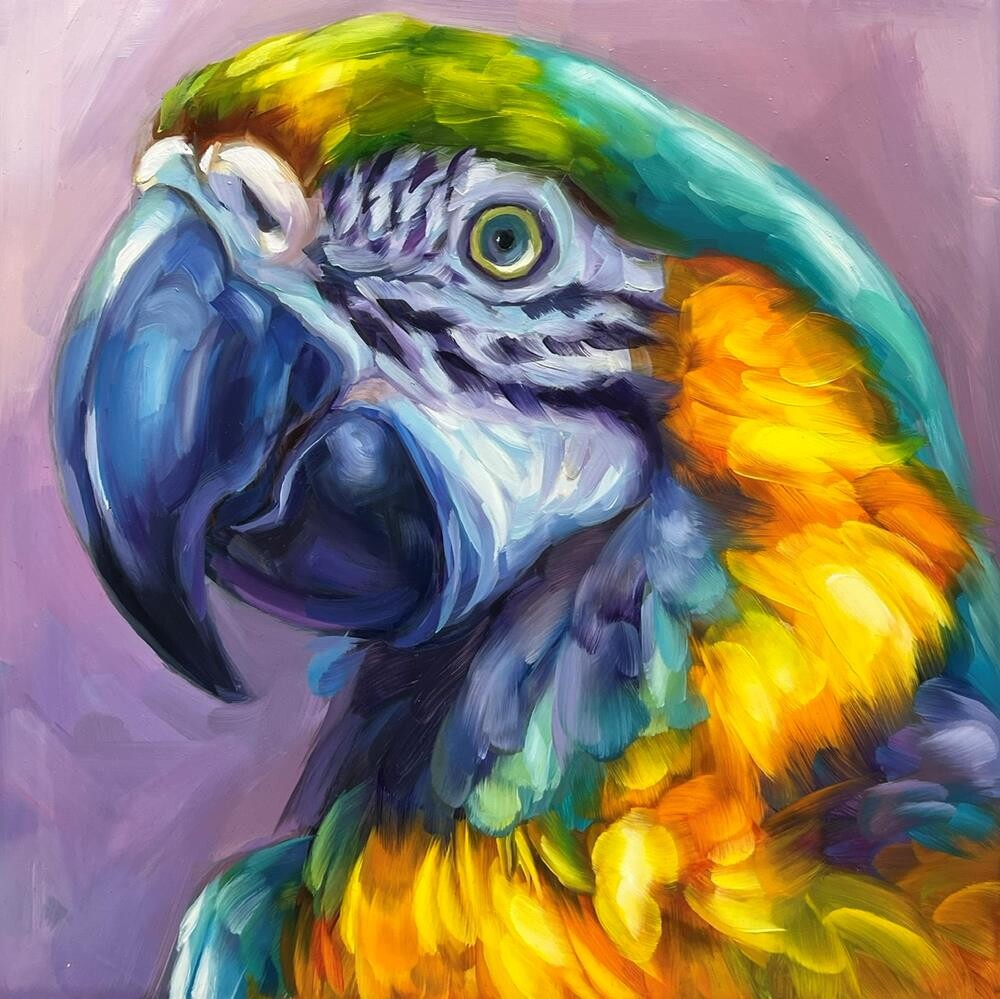 "Parrot Study 3" by Holly Storlie