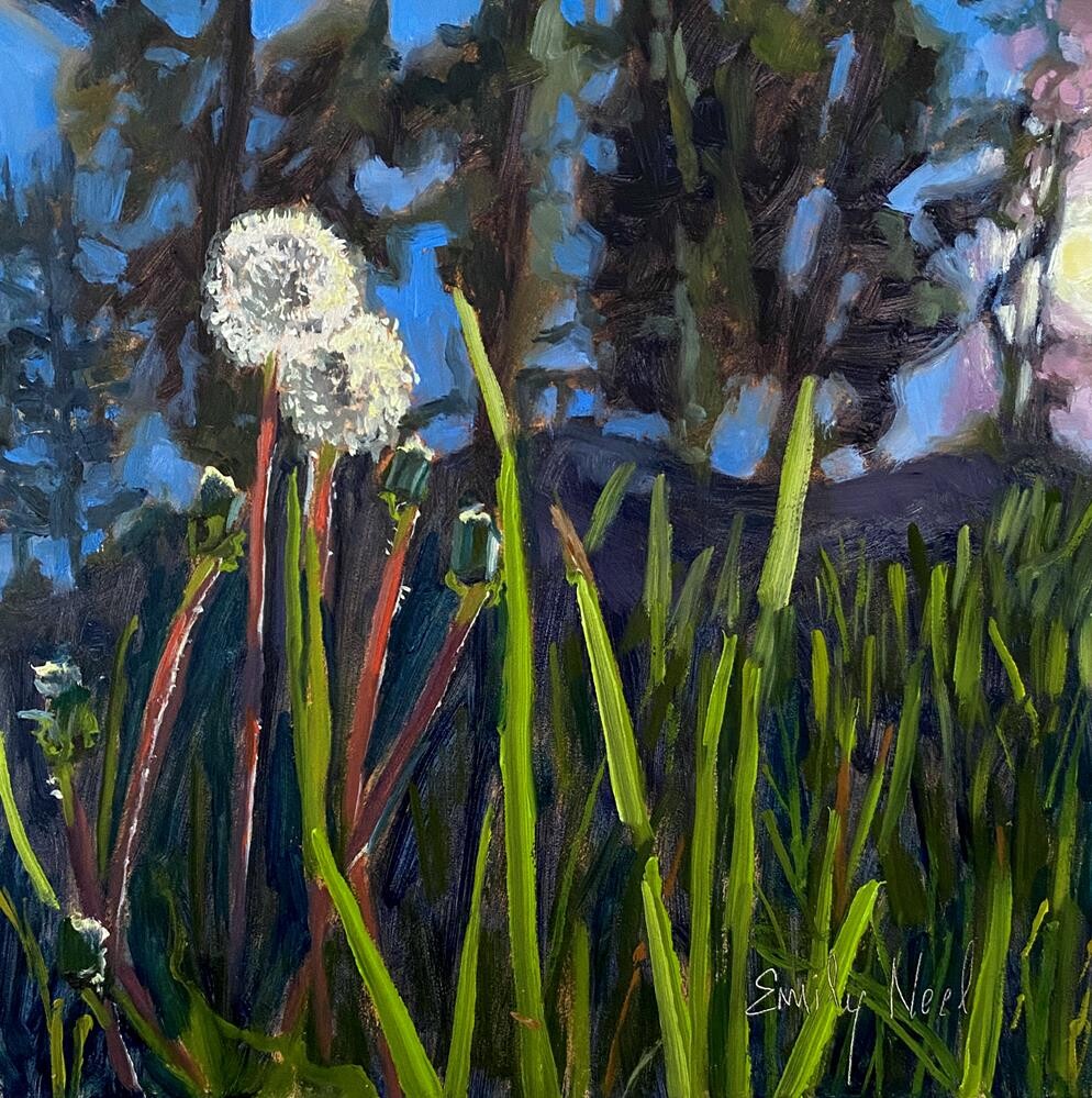 "Dandelions" by Emily Neel