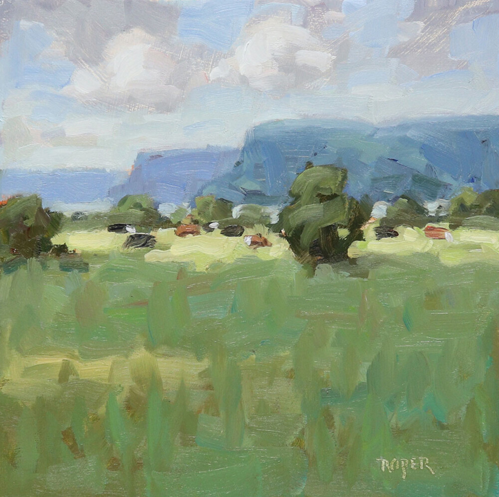 "Noon Napping On The Prairie" by Stuart Roper