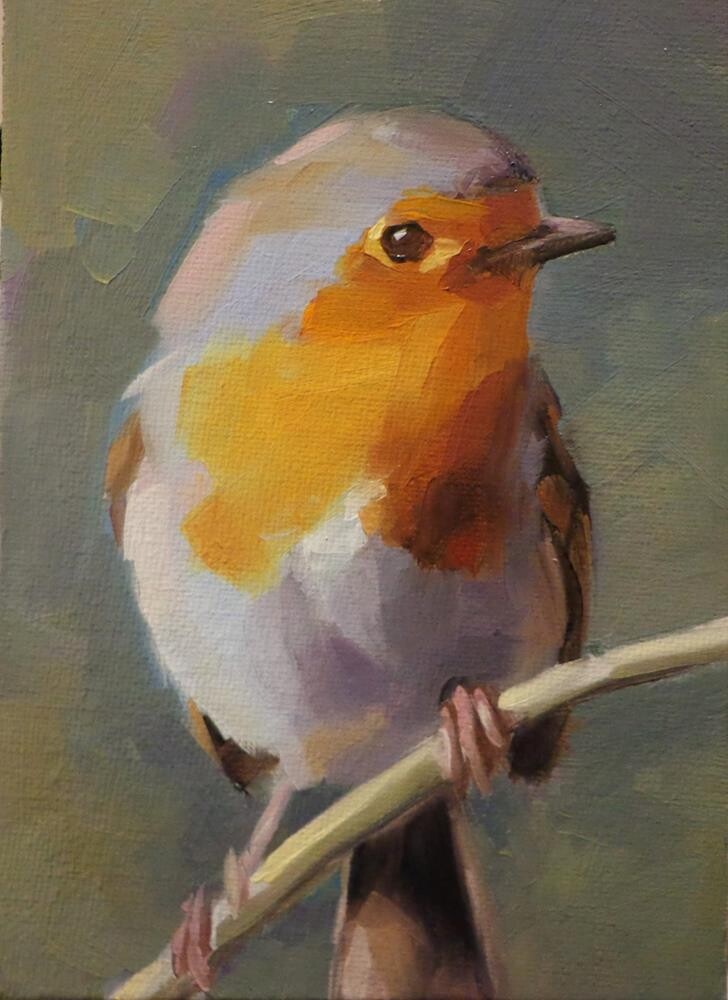 "Robin bird" by Maria Z.