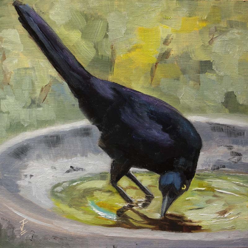 "Drinking Grackle" by Jane Frederick