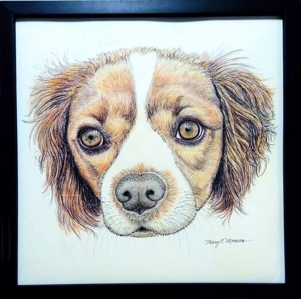 "Puppy Face" by Mary Monson