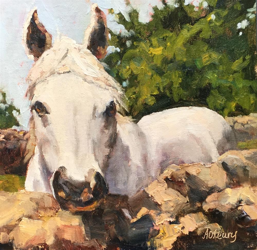 "Rockwell Ranch " by Alice O'Leary