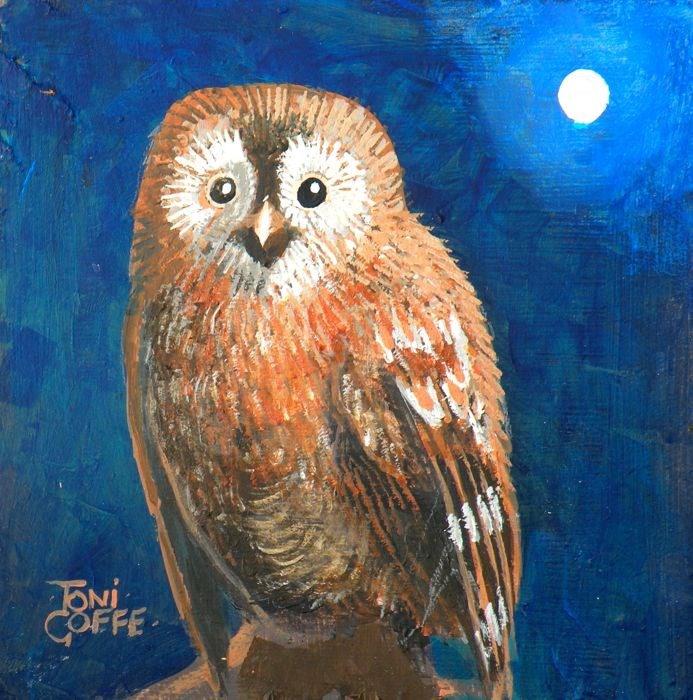 "Tawny Owl" by Toni Goffe