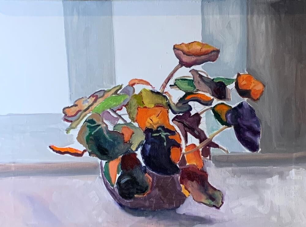 "Begonias" by Sarah Ross