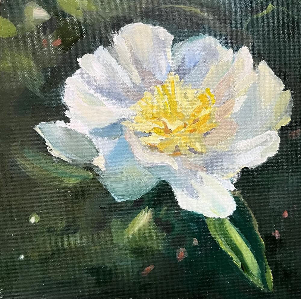 "Peony" by Susan Neff