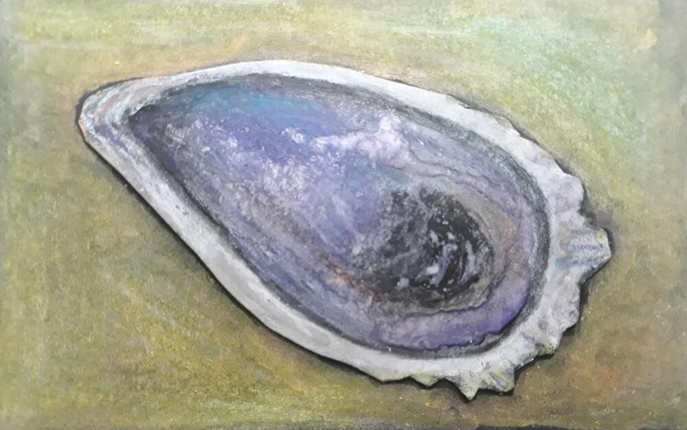 "Shell No. 4" by Cynthia Maniglia