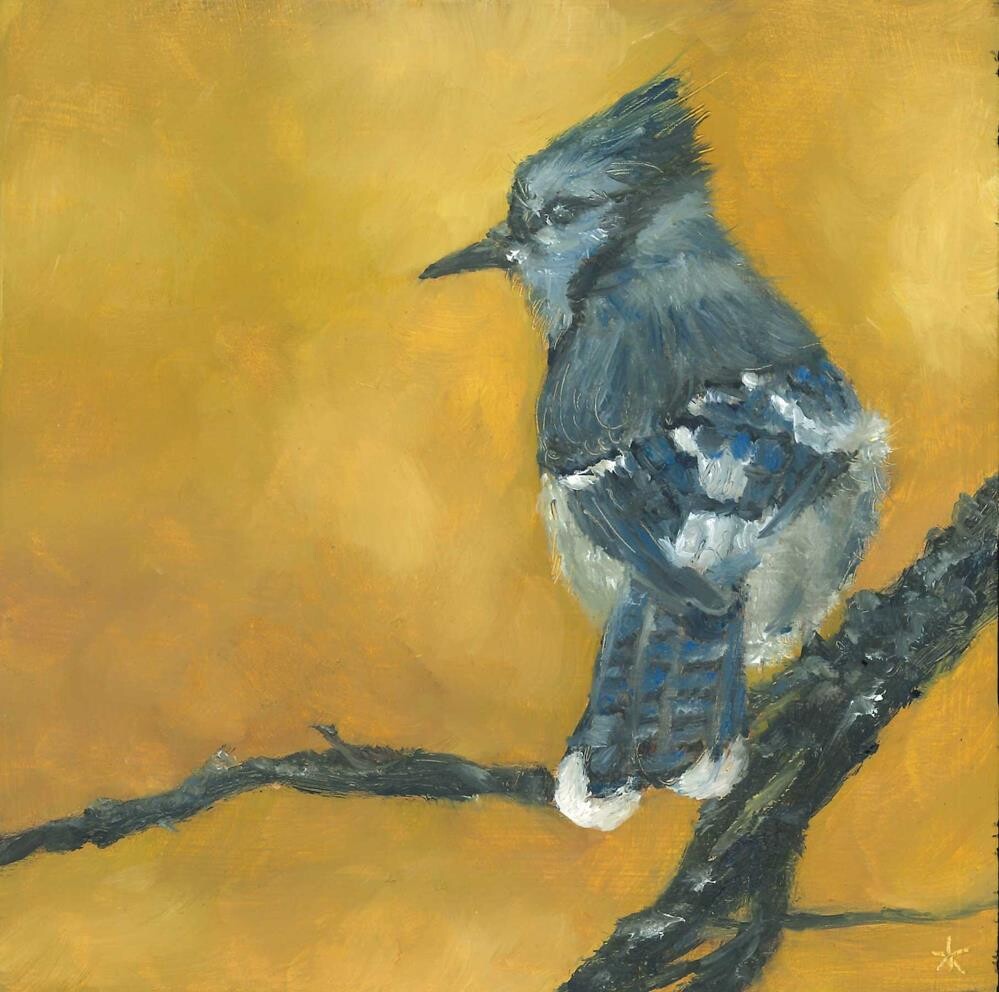 "Mr Weatherby - Blue Jay Painting" by Elizabeth Gleason