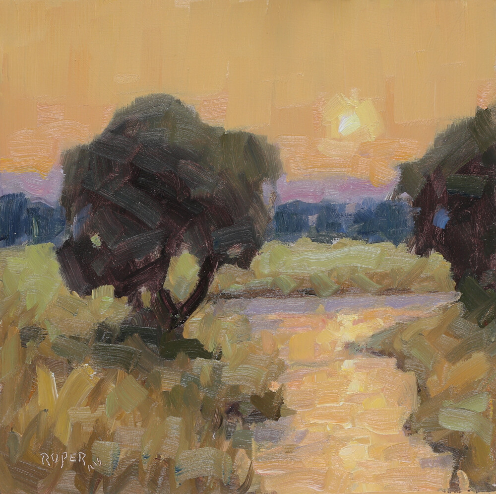 "Sunset Study " by Stuart Roper