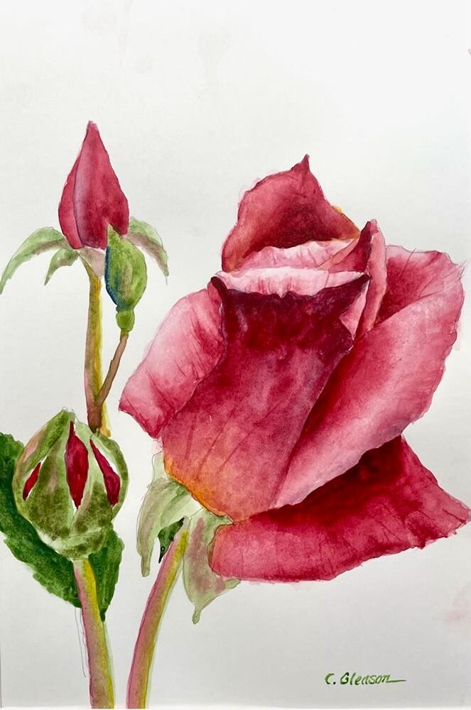 "Red Rose with Buds" by Cliff Gleason