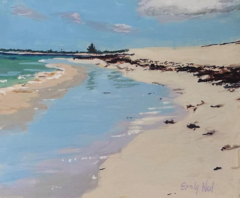 "Cow Wreck Beach, Anegada Island, BV..." by Emily Neel