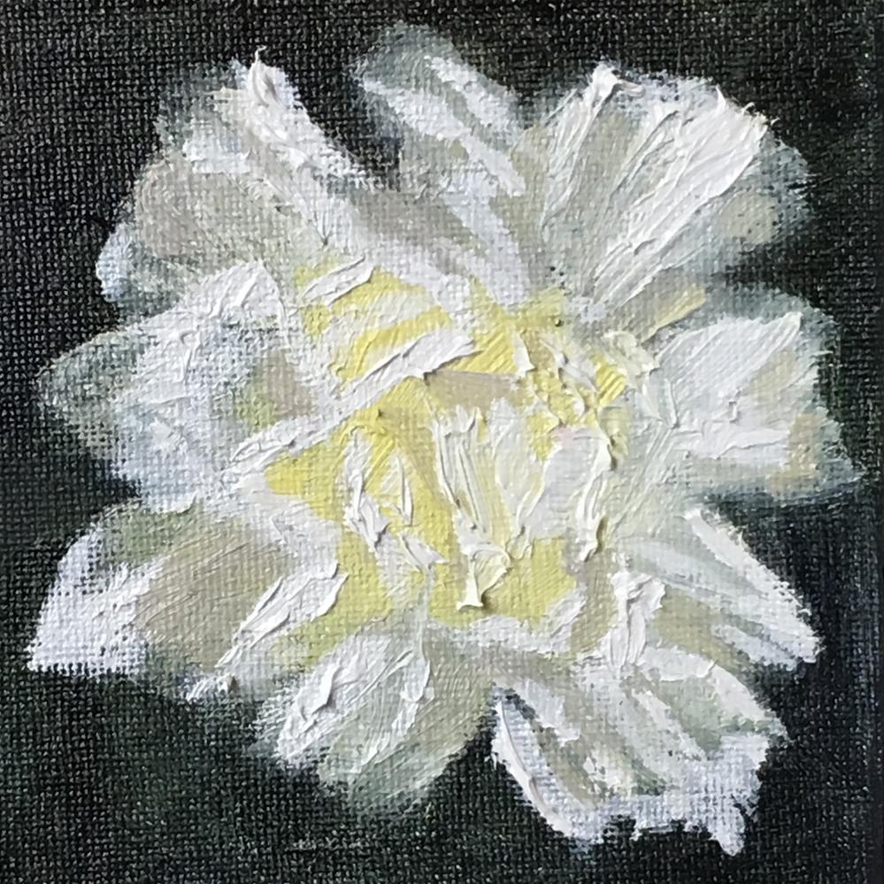 "Carnation - abstract" by Joy McMicken