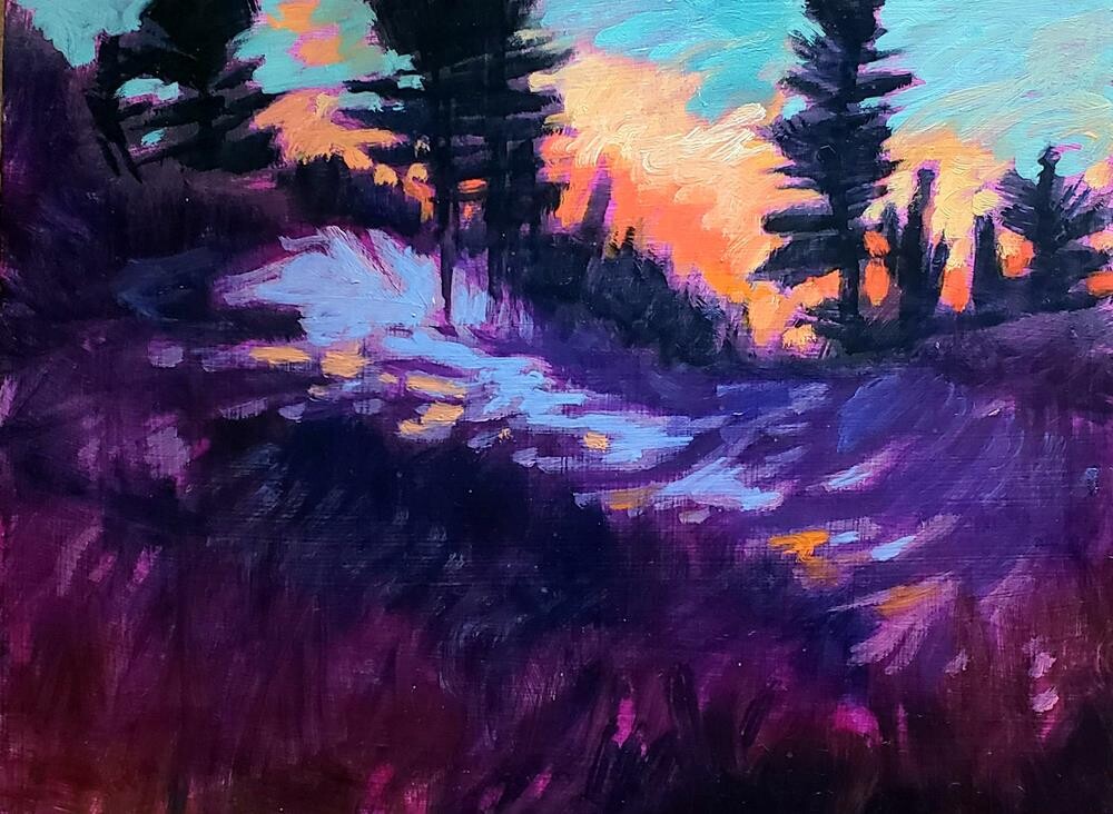 "Northern Night" by Debra Howard