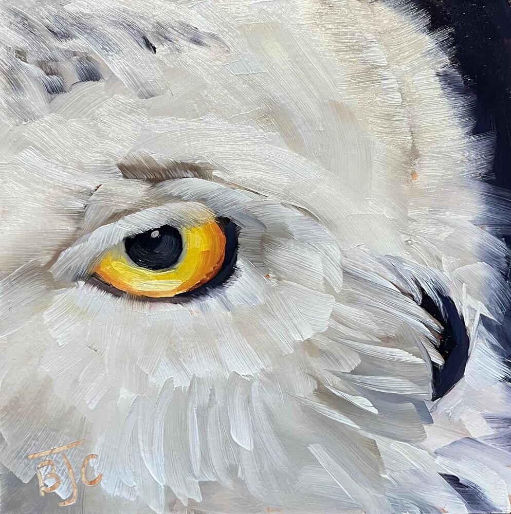 "Snowy Owl" by Bobbie Cook