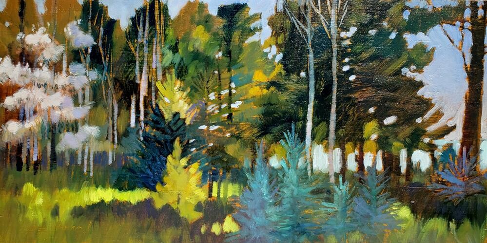 "Omena Bay Evergreens " by Debra Howard