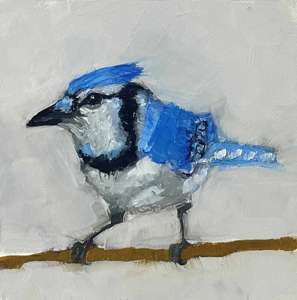 "ORIGINAL OIL PAINTING Blue Jay Smal..." by Colette Davis