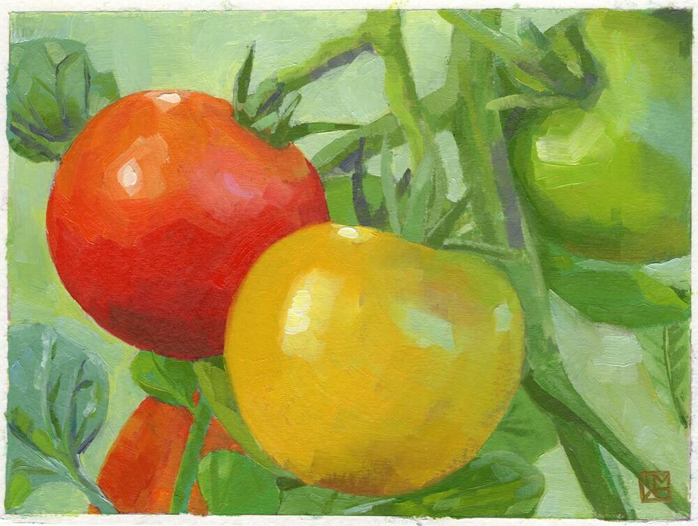 "Tomato Vine" by Tracy Hurley
