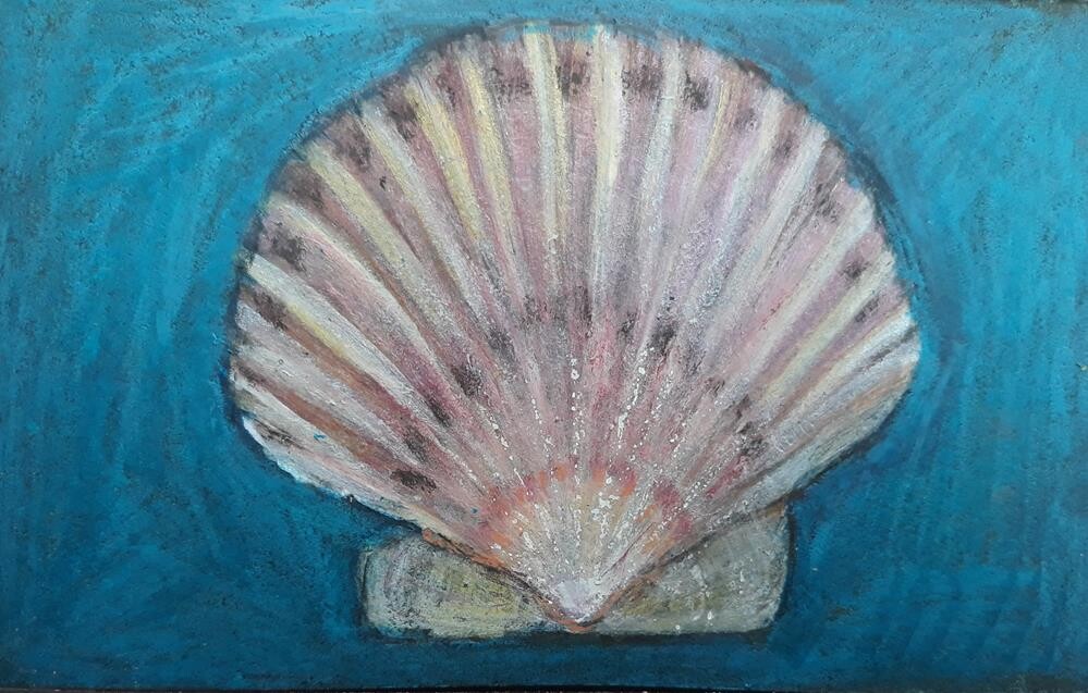 "Shell No. 1" by Cynthia Maniglia