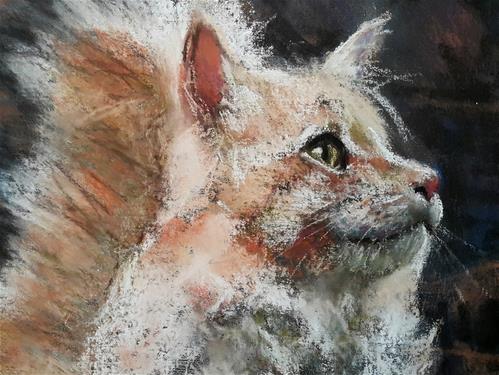"Cat" by Rentia Coetzee