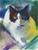 "Cat on Red Blanket" by Sharon Savitz