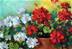 "Slice of Color Geranium Blossoms" by Nancy Medina