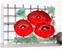 "Poppies and Plaid" by Jan Burch