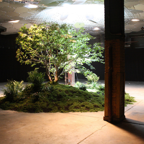 Growing Underground - Fine Gardening