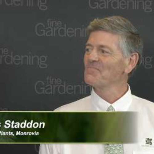 Plant Talk with Nicolas Staddon - Fine Gardening