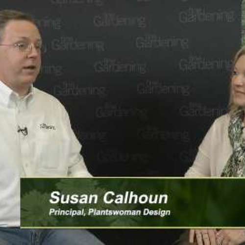 Plant Talk with Susan Calhoun - Fine Gardening