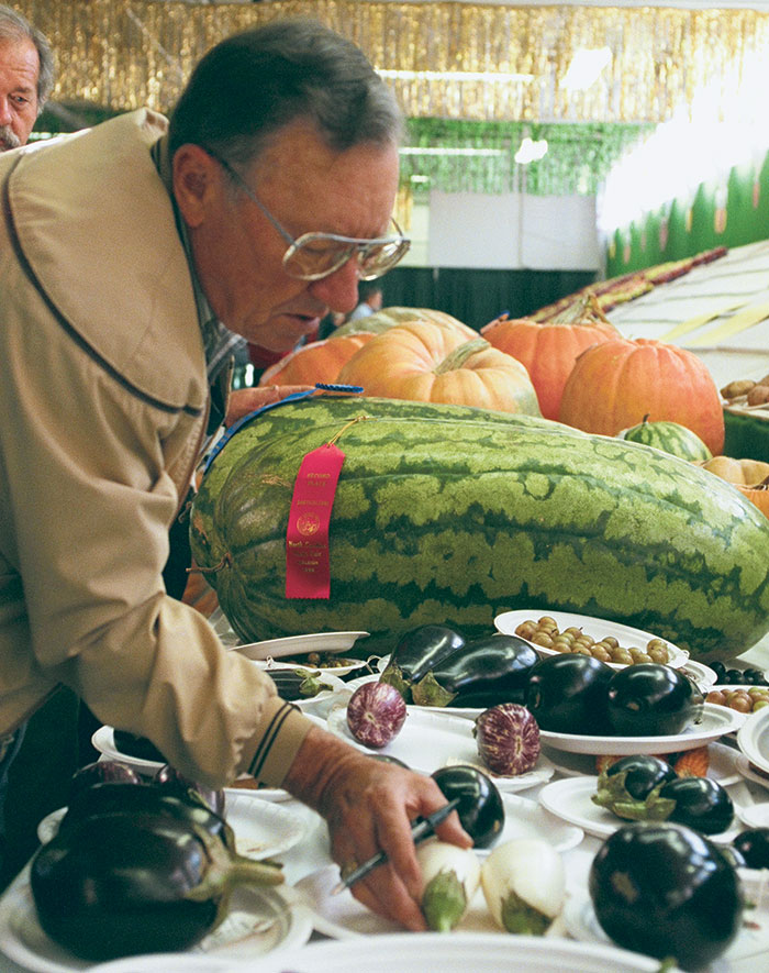 Judging Vegetables - Fine Gardening