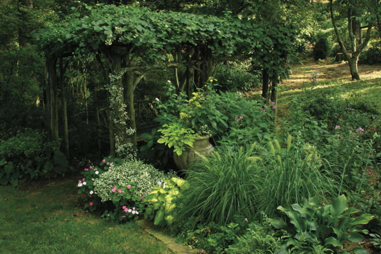 Liven Up Your Long Border - Fine Gardening