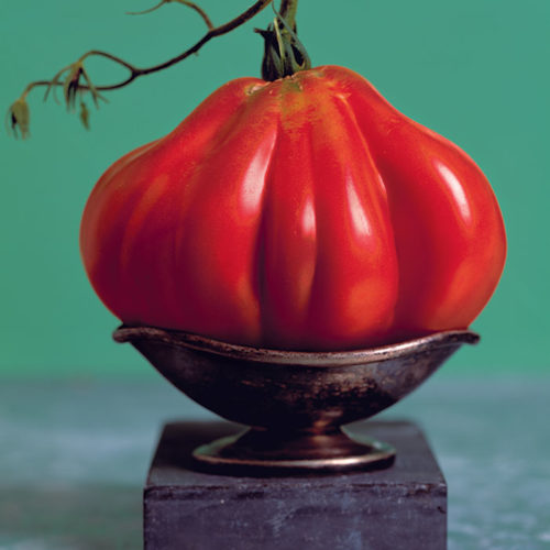 The Best Heirloom Tomatoes in Town - Fine Gardening