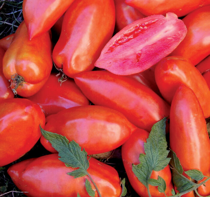 19 Varieties of Heirloom Tomatoes to Grow in the Kitchen Garden - Fine ...