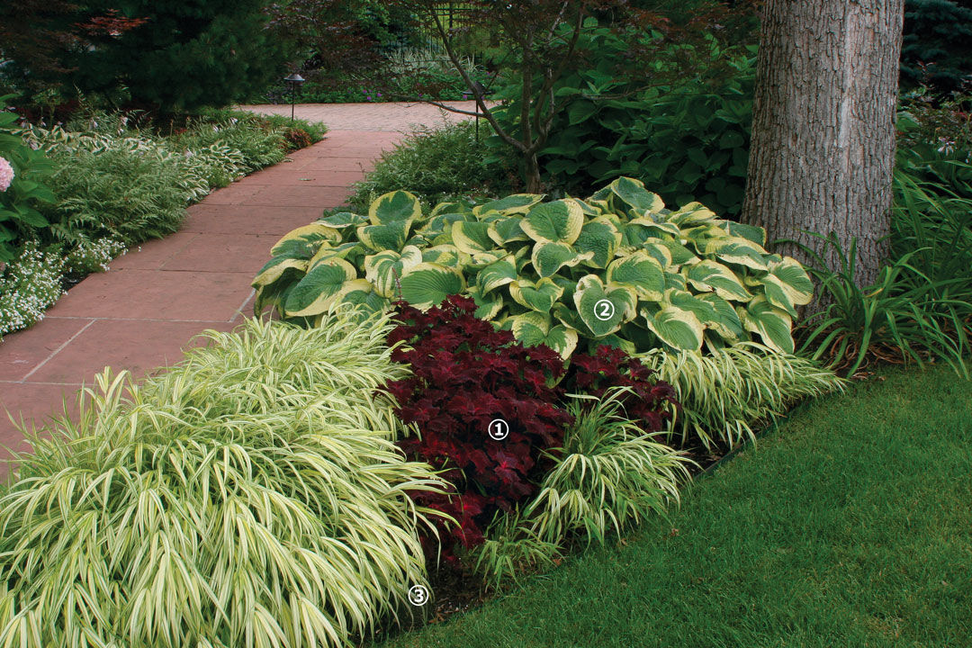 You’re Going to Love Your Shade - Fine Gardening