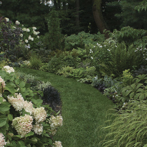Designing With the Ultimate Color Contrast - Fine Gardening