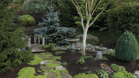 Build a Rebar Arbor - FineGardening