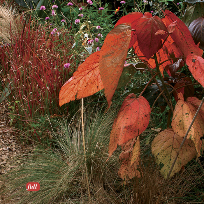 Focus on Seasonality - Fine Gardening