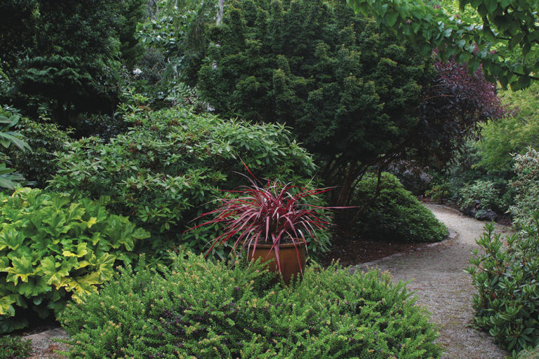 Design a Garden with Shrubs - Fine Gardening